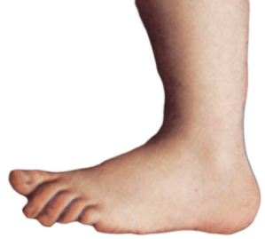 Monty Python’s Bicycle Repairman sketch: It was 45 years ago today ...