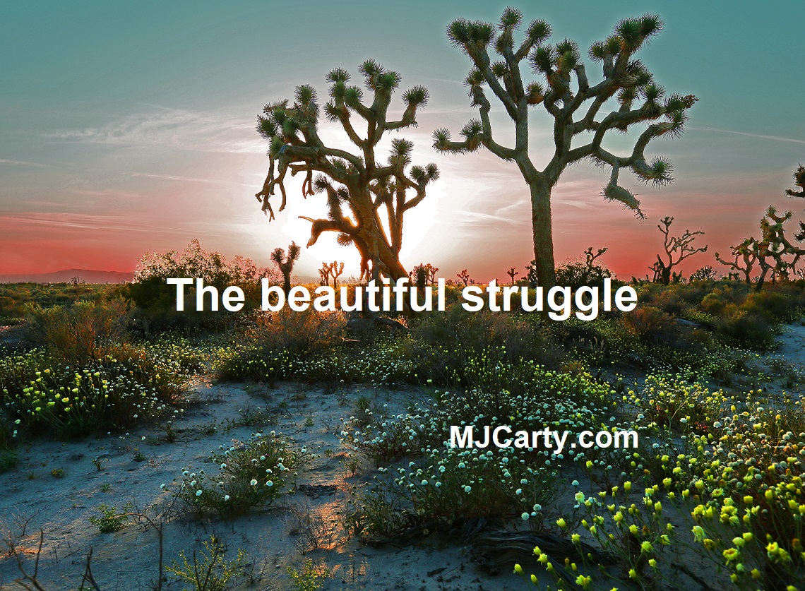 Beautiful Struggle Quotes