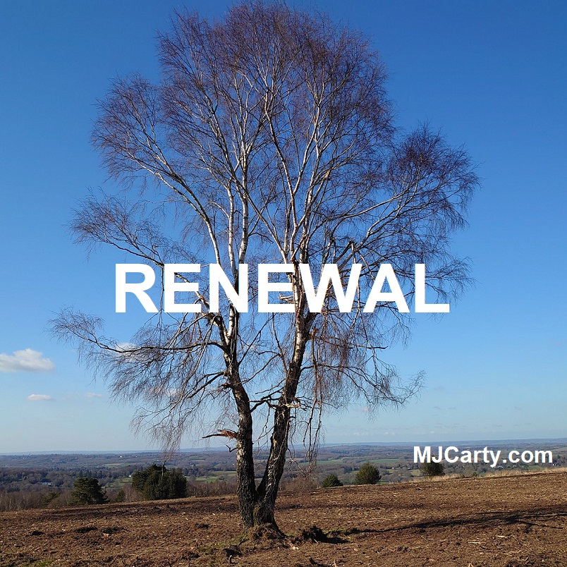 Renewal – MJCarty
