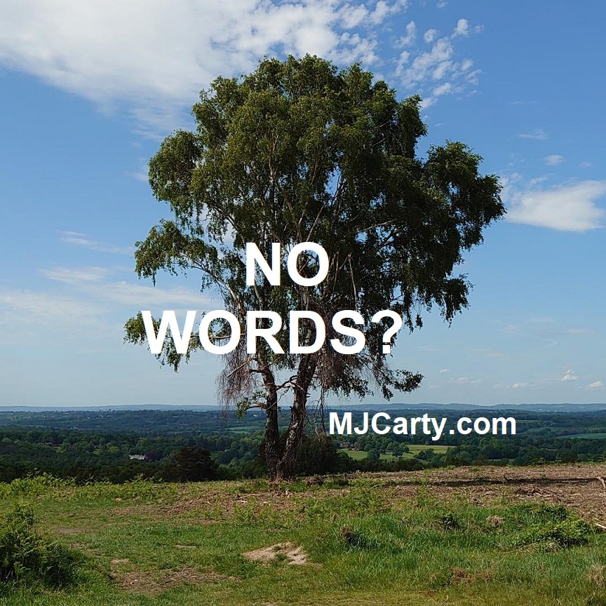 No words? – MJCarty