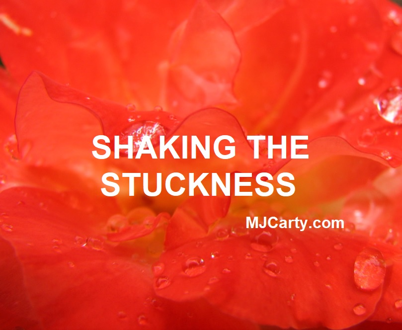 Shaking the stuckness – MJCarty